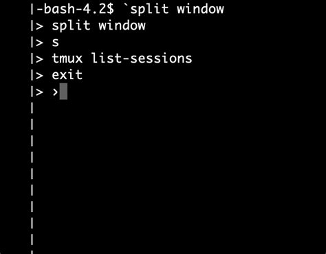 Terminal Tmux Can Not Exit Stack Overflow