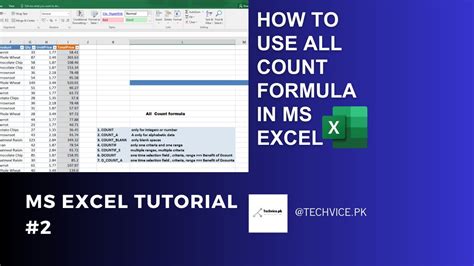 Mastering Excel Count Formulas A Comprehensive Tutorial Ms Excel