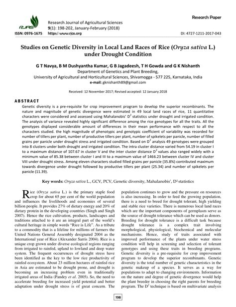 Pdf Studies On Genetic Diversity In Local Land Races Of Rice Oryza