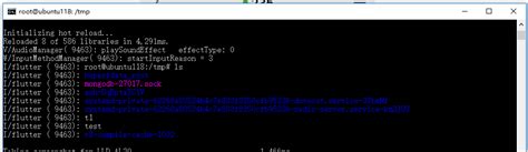 flutter emulate shell window with xterm stack overflow
