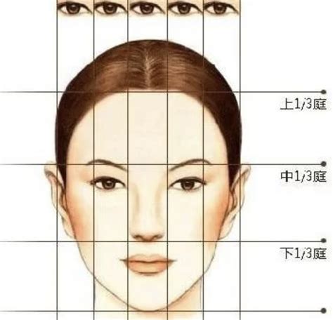 有棱角的脸型 瓜子脸的脸型 第12页 大山谷图库