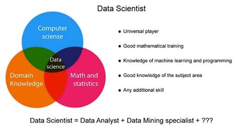 Data Analyst Vs Data Scientist Whats The Difference Custom Web