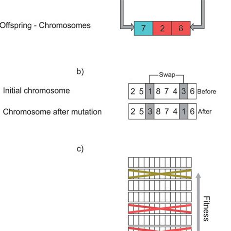 genetic algorithms operations a crossover b mutation and c death