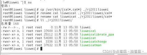 Linux系统安装与使用基础实验报告linux安装实验报告 Csdn博客