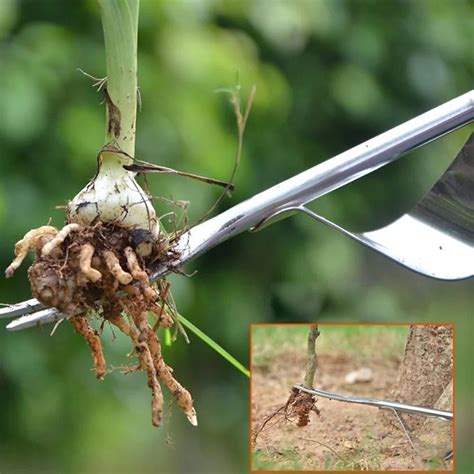 How To Choose The Best Garden Tools For Arthritic Hands Alices