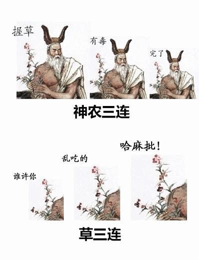 神农三连握草 有毒 完了 草三连谁许你 乱吃的 哈麻批表情包图片gif动图 求表情网 斗图从此不求人