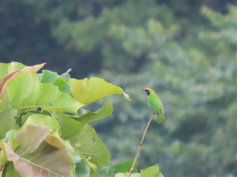 อุทยานแห่งชาติแม่โถ