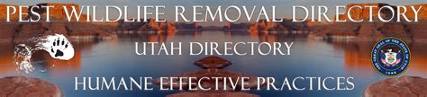 Utah Pest Pest Wildlife Removal Pros At Pest Wildlife Removal Directory