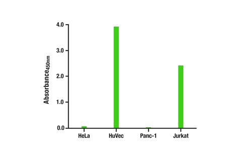 Total Cd31 Pecam 1 Matched Antibody Pair Cell Signaling Technology