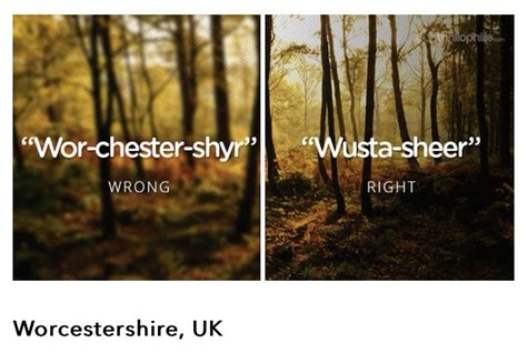 Does This Settle It Album On Imgur