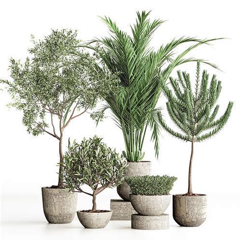 Palnt Set 02 3d Model Cgtrader