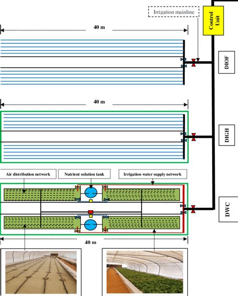 Layout Of The Experimental Design Download Scientific Diagram