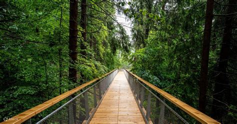 Treetop Walk Ticket In Switzerland Klook
