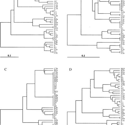 Dendrogram Depicting The Relatedness Of The Outbreak Population Of