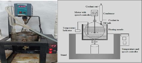 Schematic Diagramme Of Transesterification Reactor Download Scientific Diagram
