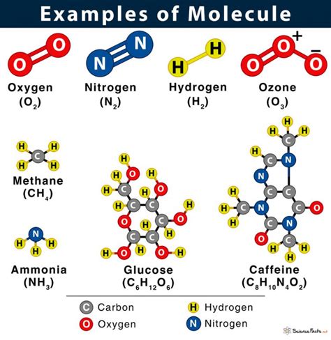 Molecule Definition Examples Facts And Diagram