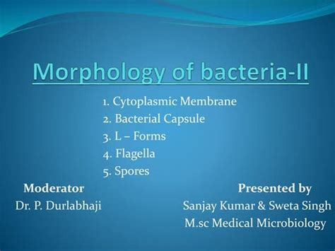 Bacteria Structure And Function Pptx Biological Sciences Science