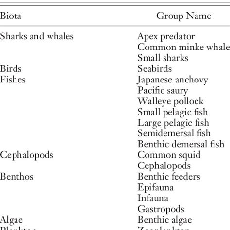 Flowchart Of The Steps And Processes For Conducting Ecosystem Modeling Download Scientific