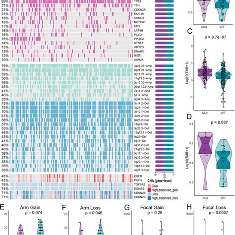 Genomic Alteration Landscape A Genomic Alteration Landscape Of The