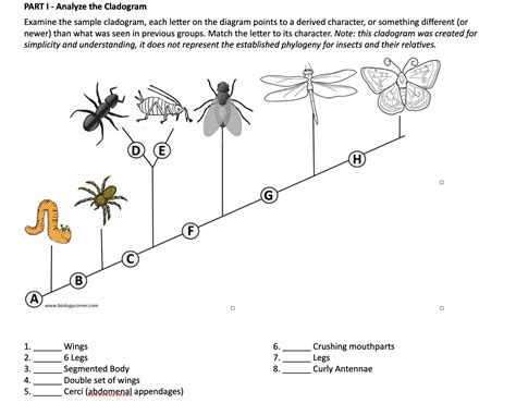Solved Part I Analyze The Cladogram Examine The Sample Cladogram