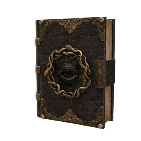 160 Grimorio Libro De Magia Ilustraciones Fotografías De Stock Fotos