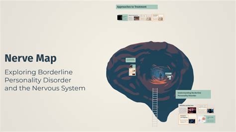 Nerve Map By Hailey Polkinghorne On Prezi