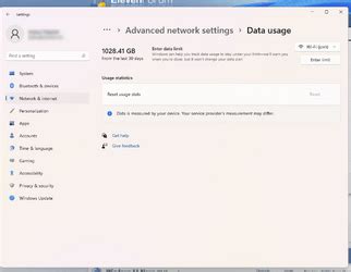 Windows 11 Data Usage Monitoring Failure Windows 11 Forum
