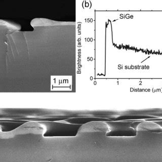 A C SEM Data A And C SEM Images Of Cleavages Of The Samples Download Scientific