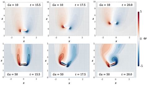 Vorticity Contours In The Wake Of A Porous Plate Experiencing A Gust At Download Scientific