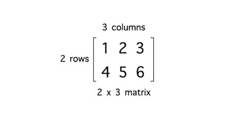 Day 22 Data In TensorFlow