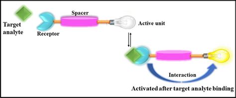Schematic Diagram Of A Chemosensor Download Scientific Diagram