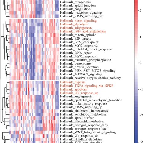 Immune Infiltration Subtypes And Pathway Interactive Network Detection