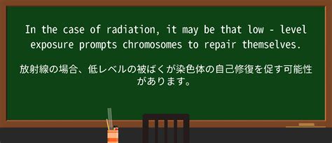 【英単語】low Level Exposureを徹底解説！意味、使い方、例文、読み方