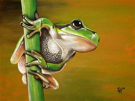 Tree Frog By DanielleHope On DeviantArt Frog Art Tree Frogs Frog