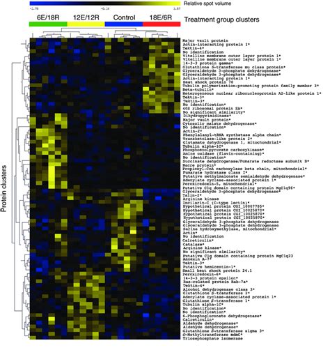 Hierarchical Cluster Analysis Hierarchical Clustering Using Pearson