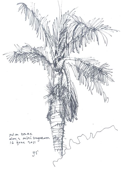Yusas Sketch Book Palm Tree