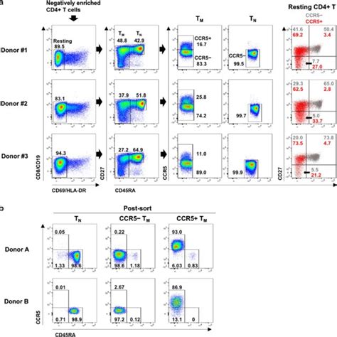 Flow Cytometric Cell Sorting Isolation Strategy For Three Resting Cd4