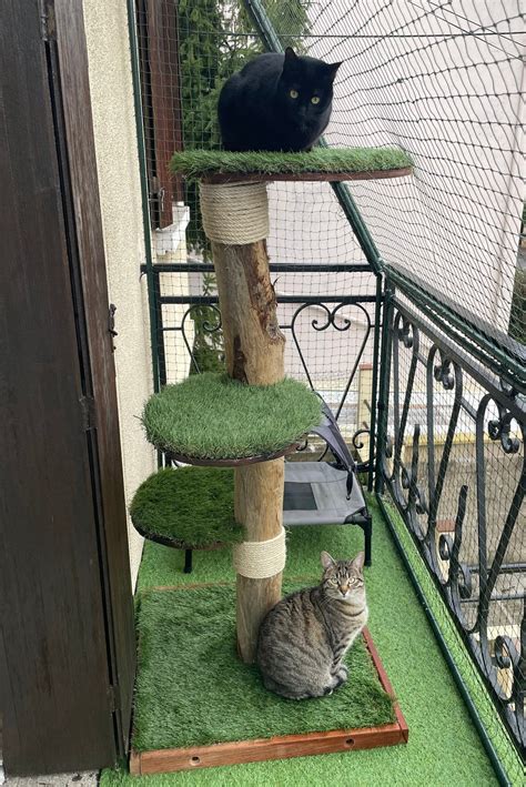 Outdoor Cat Playground