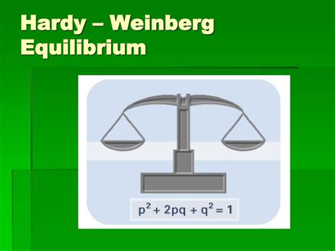 Hardy Weinberg Equilibrium