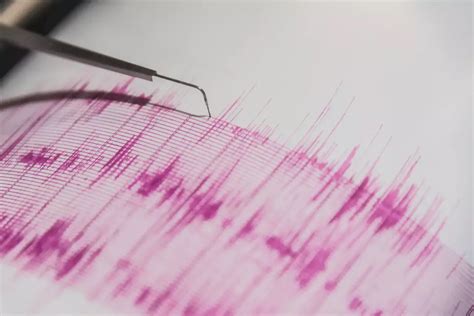 Sismo Em Portugal Proteção Civil Revela Que Houve Mais Três Réplicas