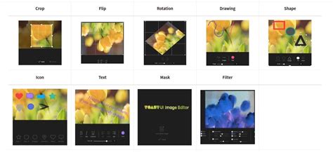 TOAST UI Image Editor Drupal Org