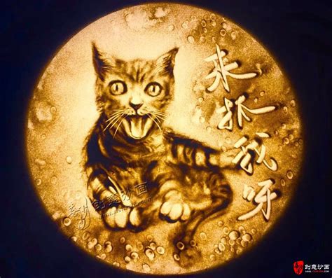 沙画我是萌宠喵喵篇 沙画培训 沙画表演 婚礼沙画 沙画工具 北京沙画公司 喜沙沙