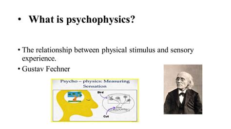 Psychophysics Ppt Pdf Physics Science