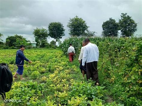 ကယားပြည်နယ် သမဝါယမဦးစီးဌာန မှ ချေးငွေထုတ်ချေးပေးထားသော အဖွဲ့ဝင်အသင်းသား