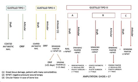 Practical Algorithm To Treat Open Tibia Fractures Download