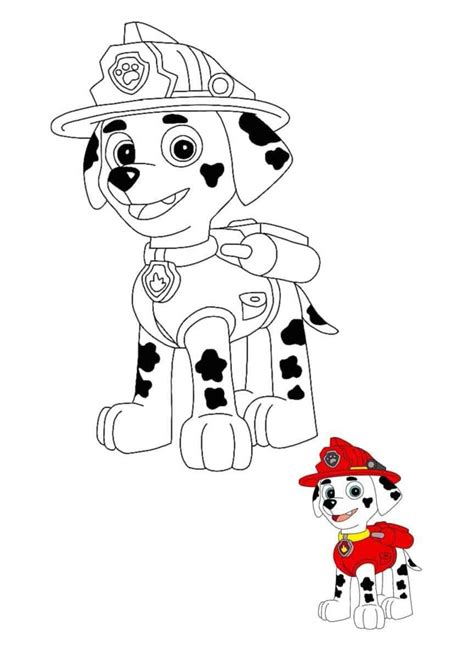 Paw Patrol Marshall Coloring Pages 4 Free Printable Coloring Sheets