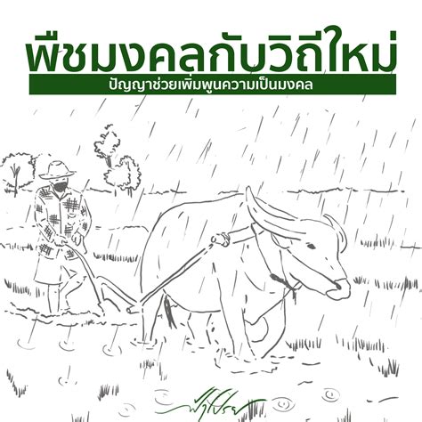 พืชมงคลกับวิถีใหม่ กรมฝนหลวงและการบินเกษตร