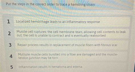 Solved Put The Steps In The Correct Order To Trace A Hamstring Strain