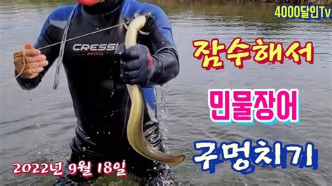 귀한 자연산 민물장어 잡는 가장 쉬운 방법 💦 태풍 전야에 이러고 놀아요 ㅋㅋ 민물장어 구멍치기 방생 잠수 참게 달인 태풍 난마돌 구독과좋아요 Youtube