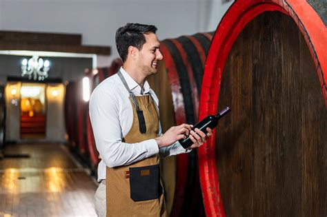 와인 저장고에서 레드 와인 한 병을 살펴보고 있는 와인메이커 20 29세에 대한 스톡 사진 및 기타 이미지 20 29세 검사 보기 공예 Istock